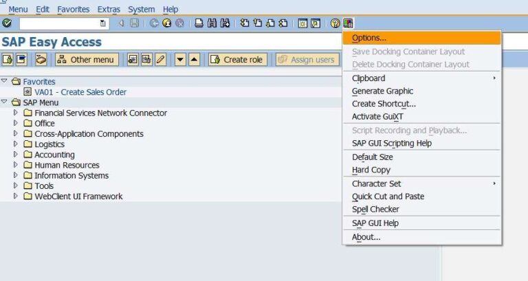 How To Change SAP Font Style And Size In SAP GUI - SAPBoost.Com